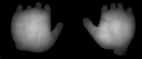 the invisible world of near infrared authentication duo security
