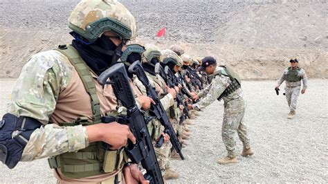 Fame Entrega 500 Fusiles De Asalto Arad 7 Al Ejército Perú Noticias