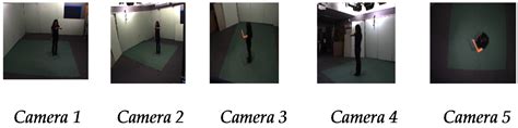 Human Action Recognition From Multiple Views Based On View Invariant