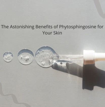 The Uses Of Tetrakis Hydroxymethyl Phosphonium Chloride Chemicalbook