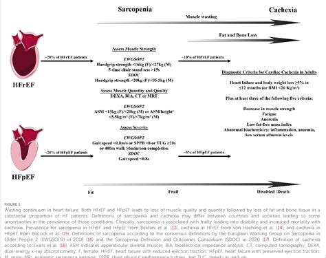 Figure 1 From Locomotor And Respiratory Muscle Abnormalities In HFrEF