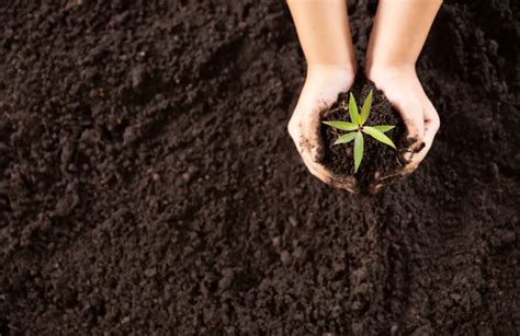 About Us IEEE Sensors Council