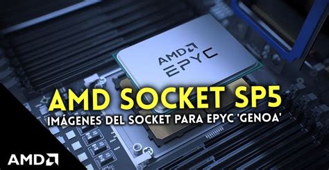 AMD SP5 El Socket De EPYC Genoa Se Deja Ver Por Primera Vez