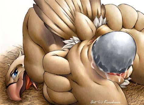 rule 34 anthro anus ass avian beak bird chocobo egg egg laying