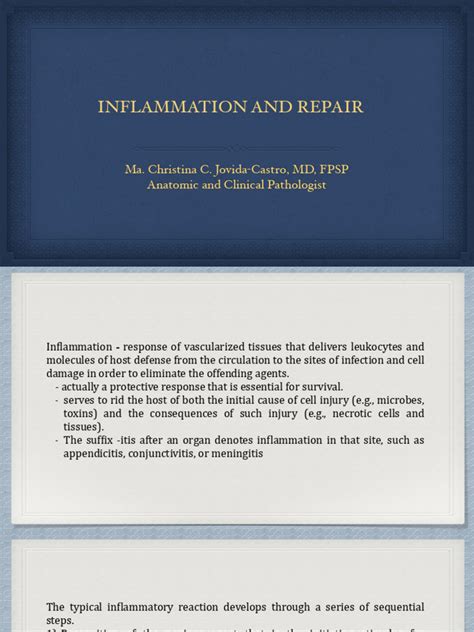 inflammation pdf complement system macrophage