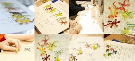 What Is It Dichotomous Keys Science Take Out