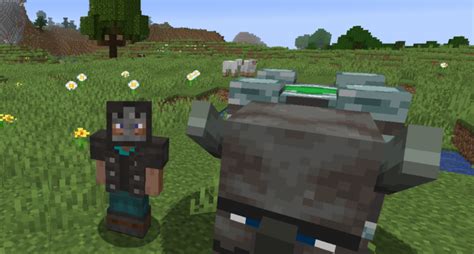 Pillage The Village Mcreator