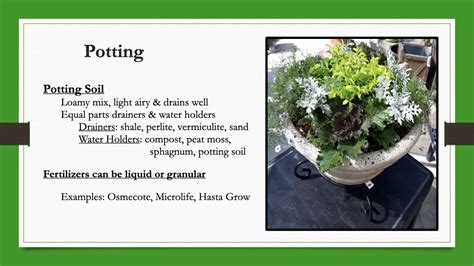 Tips About Planting Pots The Lake Houston Garden Club