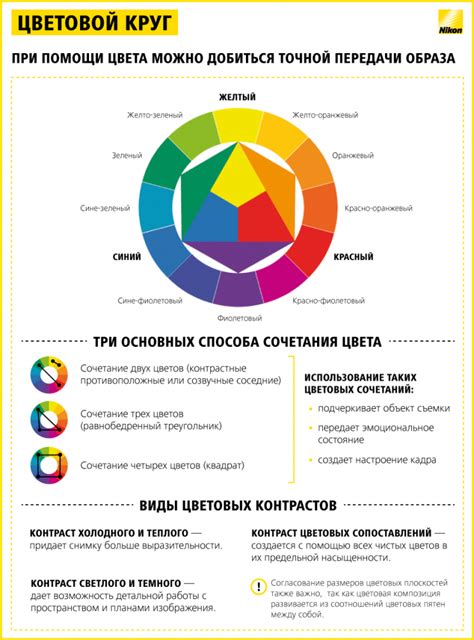 ФУД СЪЕМКА ПЕЧЕНЬЯ | Уроки фотосъемки, Шпаргалки фотографа, Смешение цветов