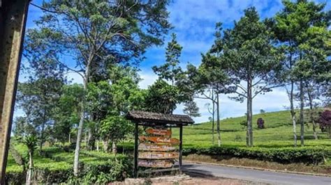 Curug Orok Garut Air Terjun Menawan Dengan Kisah Tragis