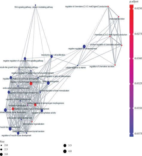 Go And Kegg Enrichment Analysis Results A Count Number Gene Ratio
