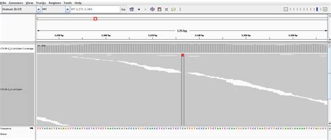 Sort Alignments By Base Incorrect For Lower Case Sequence Was Sort