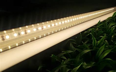 Ip65 Vs Ip67 Led Light Strips Which One Is Right For You Neon Led Strip