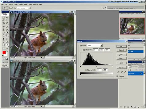 Видео уроки фотошопа 102 Видео уроки Фотошопа для начинающих Урок