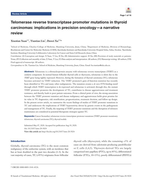 Pdf Telomerase Reverse Transcriptase Promoter Mutations In Thyroid Carcinomas Implications In