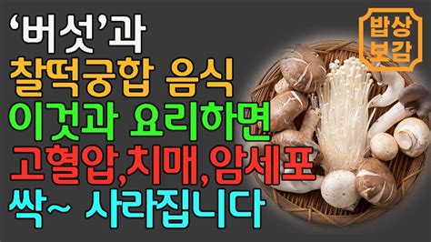 버섯과 찰떡궁합 음식 Top 4 같이 먹으면 고혈압 치매 암세포 사라집니다 같이 요리하면 보약이 되는 음식 상극인 음식 버섯 드실 때 주의할 사항 버섯요리