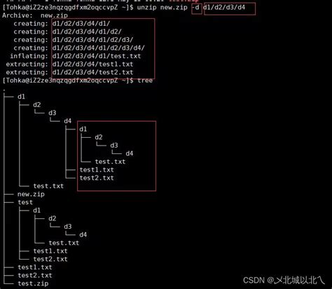 Linux基础指令含英文注释linux注释 Csdn博客