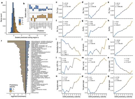 Functionally Constrained Genes Have Lower Predicted Mutation Rates Download Scientific