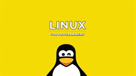 20 basic ubuntu commands every beginner should know