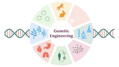 Importance Of Genetic Engineering Civil Services Preparation Online