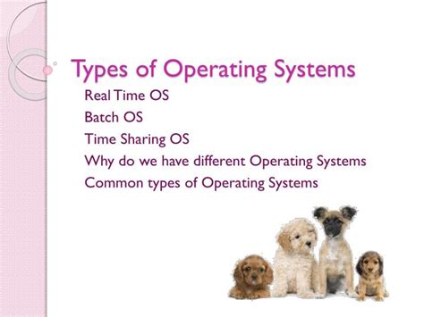 PPT Types Of Operating Systems PowerPoint Presentation Free Download ID
