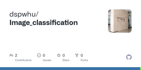 Github Dspwhuimageclassification