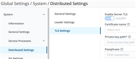 Enabling Tls On A Cribl Leader Node Step By Step Guide