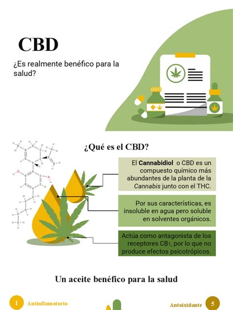 ¿qué Es El Cbd Y Para Qué Sirve Pdf Cannabis Droga Medicina