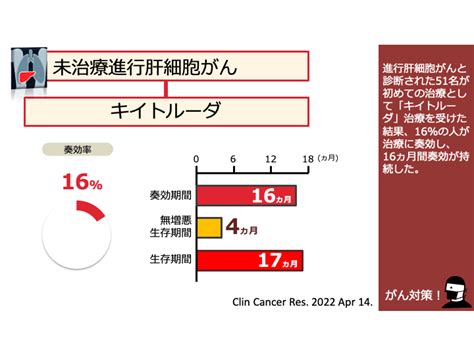 日本がん対策図鑑 【肝細胞がん：一次治療（orr）】キイトルーダ