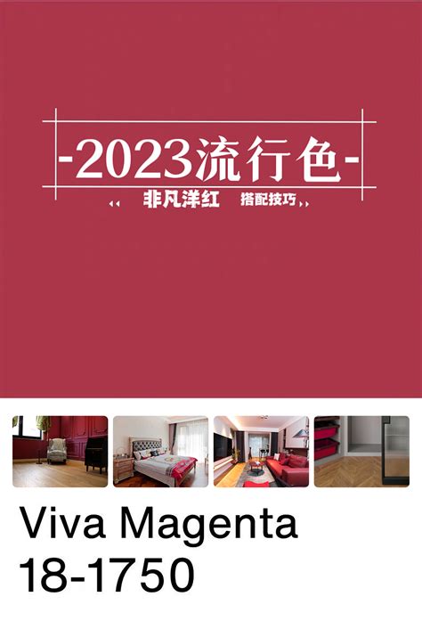 潘通2023流行色“非凡洋红”，地板家居搭配技巧 哔哩哔哩