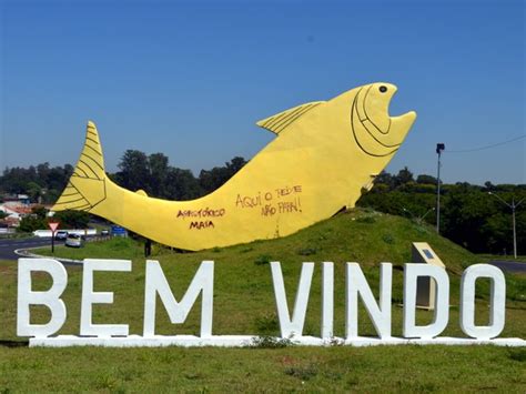 G1 Escultura Do Peixe Dourado é Alvo De Nova Pichação No Ano Em