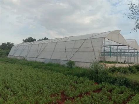 Polyhouse Construction Services At Rs 780square Meter In Roing Id