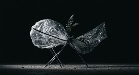 Protracted Conflict → Term