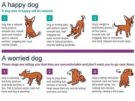 Printable Dog Body Language Chart - Printable Word Searches