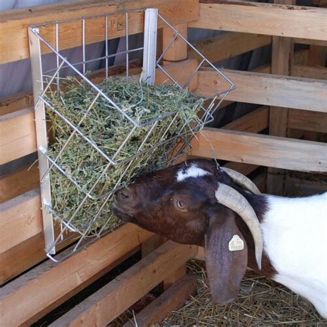 Rugged Ranch Steel Sheep And Goat Livestock Hay Feeder Rack 4 Pack 1