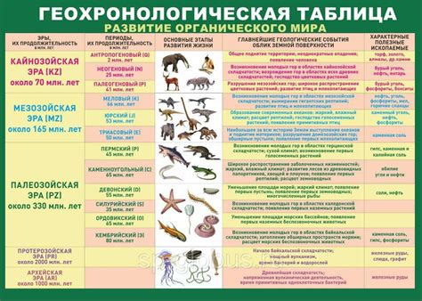Хронологическая таблица география 8 класс 57 фото