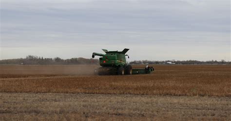 Test Plots Alliance Valley Bean