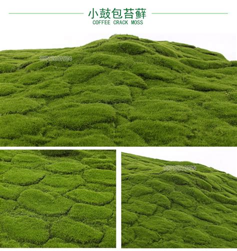 仿真苔藓草皮微景观盆景造景装饰 假苔藓青苔植物墙绿植人造草坪 阿里巴巴