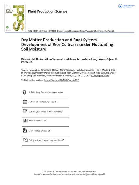 Dry Matter Production And Root System Development Of Rice Cultivars