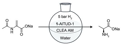 Schematic Representation Of The Modified One Pot Procedure Download