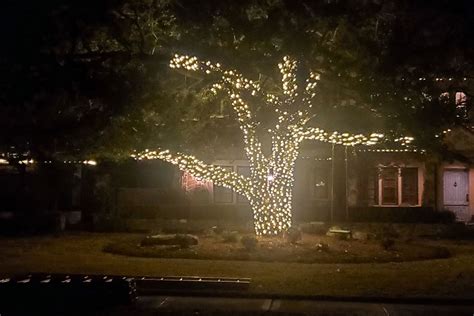 Led Mini Light Tree Wrap Elegant Glow Lighting