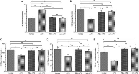 Effect Of Pre Treatment On Renal A Mda B Gsh C Sod D Cat