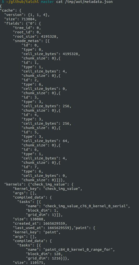 LLVM Kernel AOT Got Skipped For The Second Time Issue 6309 Taichi