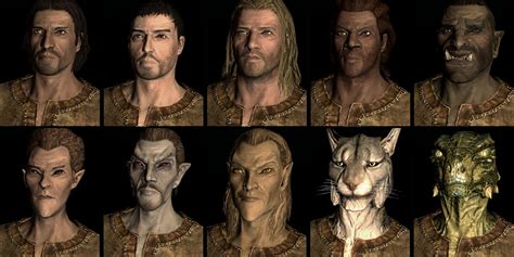 The Elder Scrolls The Races Of Tamriel