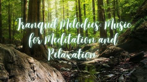 Soothing Nature Sounds For Meditation And Relaxation A Journey To