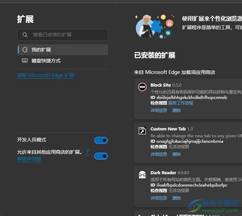 Edge浏览器开发者设置在哪？ Edge浏览器进入开发者模式的方法 极光下载站