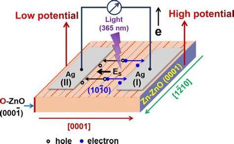 In Plane Anisotropic Rectification And Photovoltaic Effects On Zno Nonpolar 101̅0 Crystal