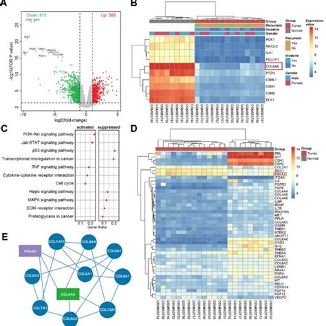 The Differentially Expressed Mrnas And Pathway In Pa A Volcano Plot