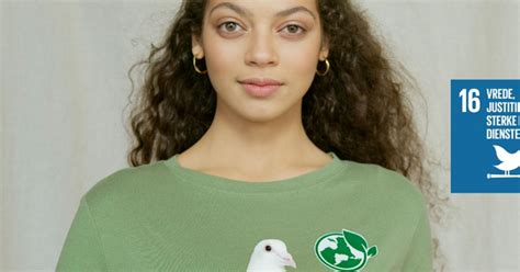 Sdg 16 Vrede Justitie En Sterke Publieke Diensten Hogeschool Saxion