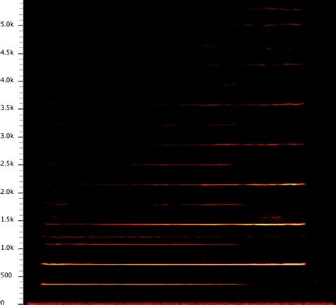 Clarinet Multiphonics